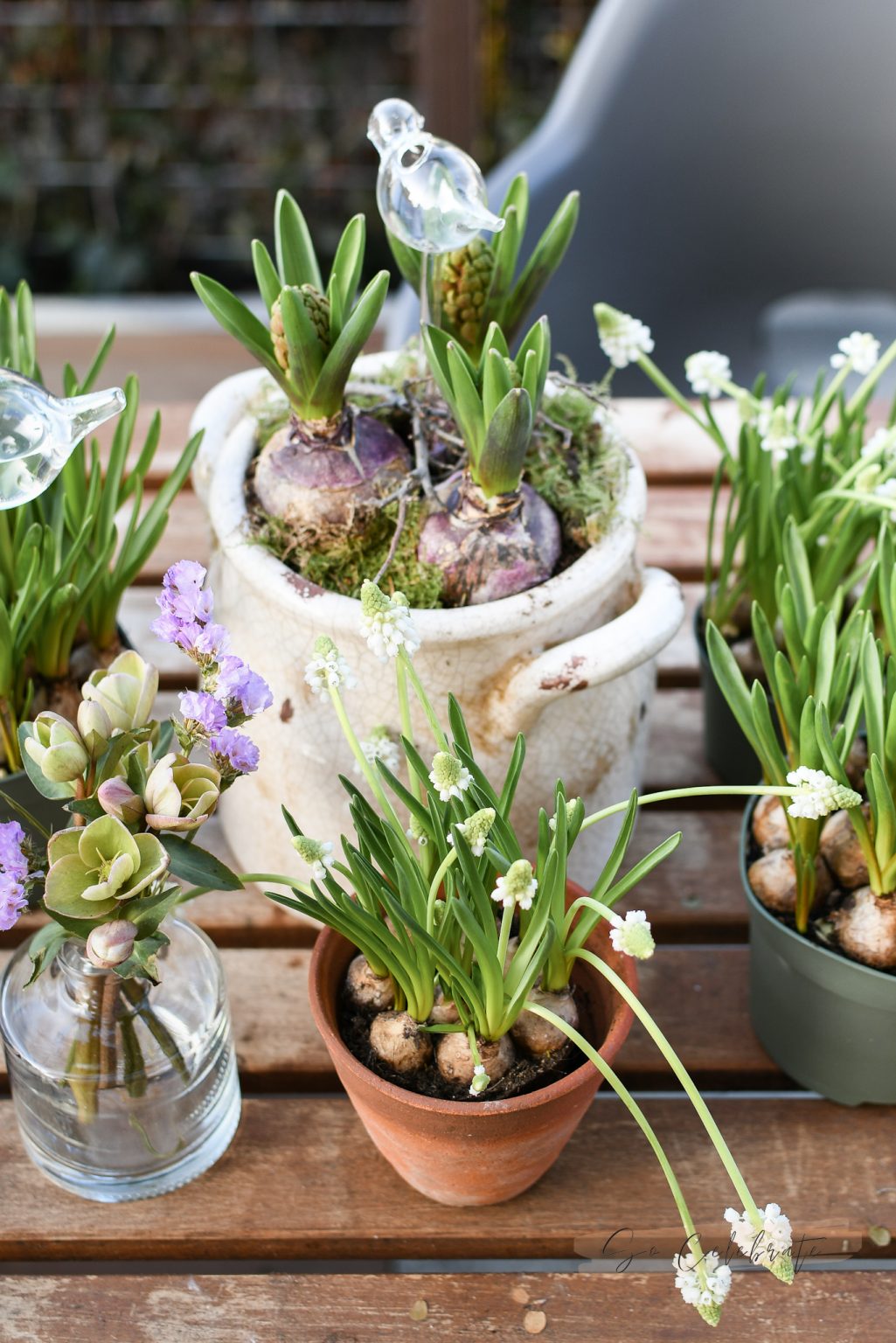 Goedkope versiering: tips om te besparen! - So Celebrate