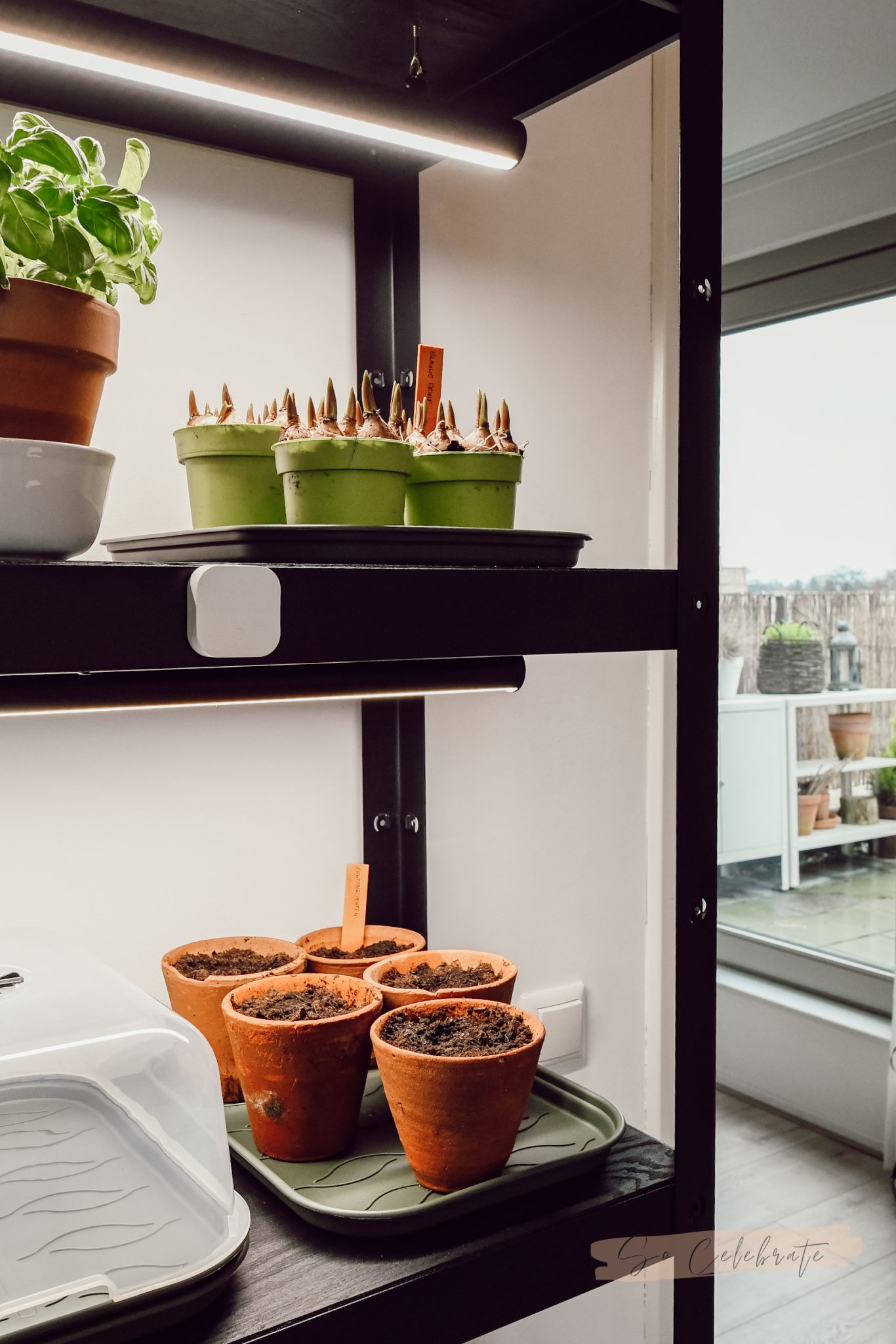 DIY | Kweekkast met groeilampen om binnen voor te zaaien - So Celebrate