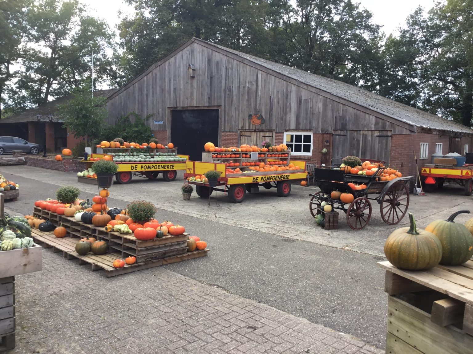 20x toffe pompoenboerderijen & pompoenveldjes in Nederland - So Celebrate!