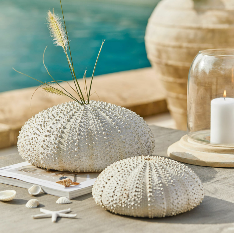 50x mooie decoratie met schelpen - So Celebrate!