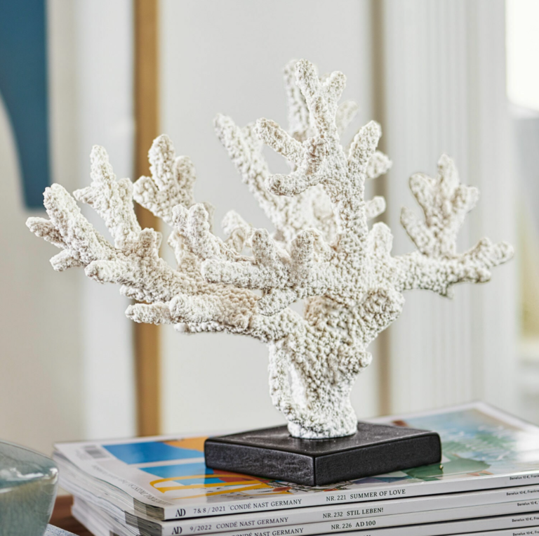 50x mooie decoratie met schelpen - So Celebrate!