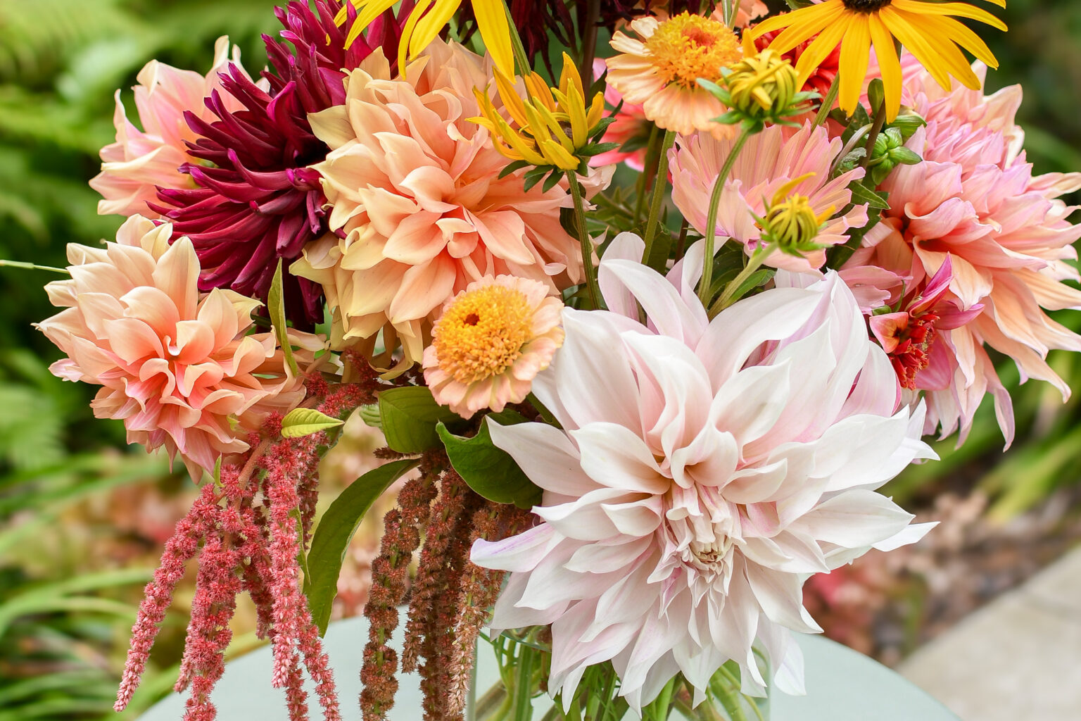 Dahlia's verzorgen | tips voor veel mooie bloemen - So Celebrate! - vier de seizoenen